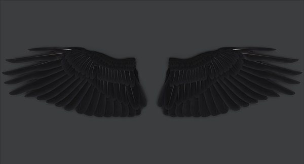 Black Raven Feather Wings 3D model - TurboSquid 1736987