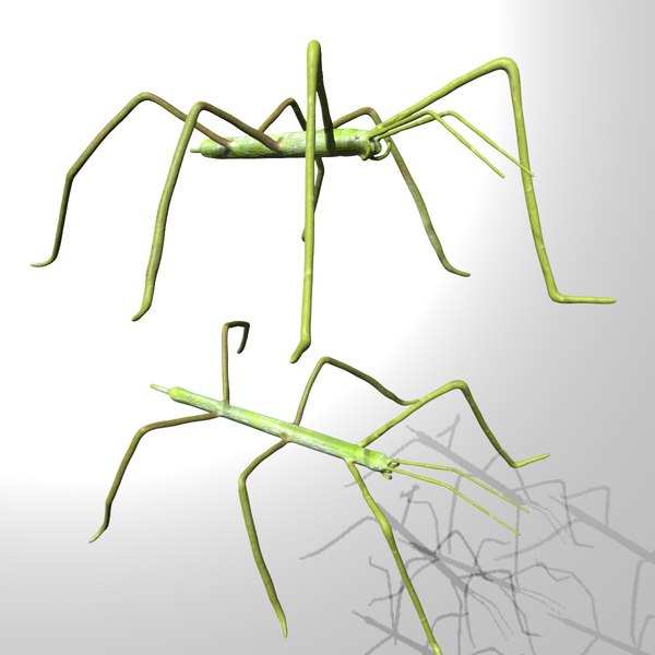 Invertebrate 3D Models for Download | TurboSquid