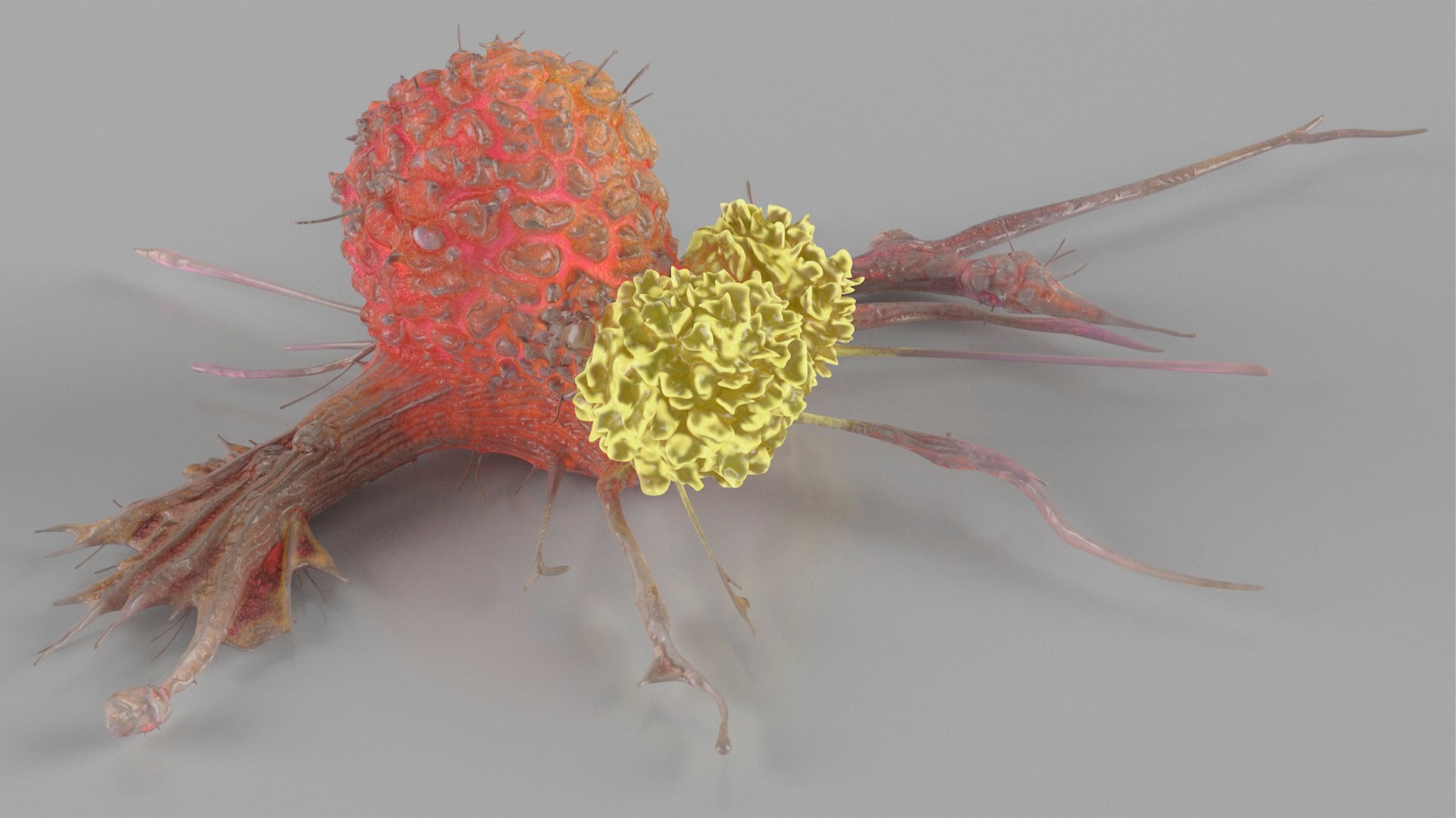 Cancer Cells With Lymphocytes Collection 3D - TurboSquid 2255044