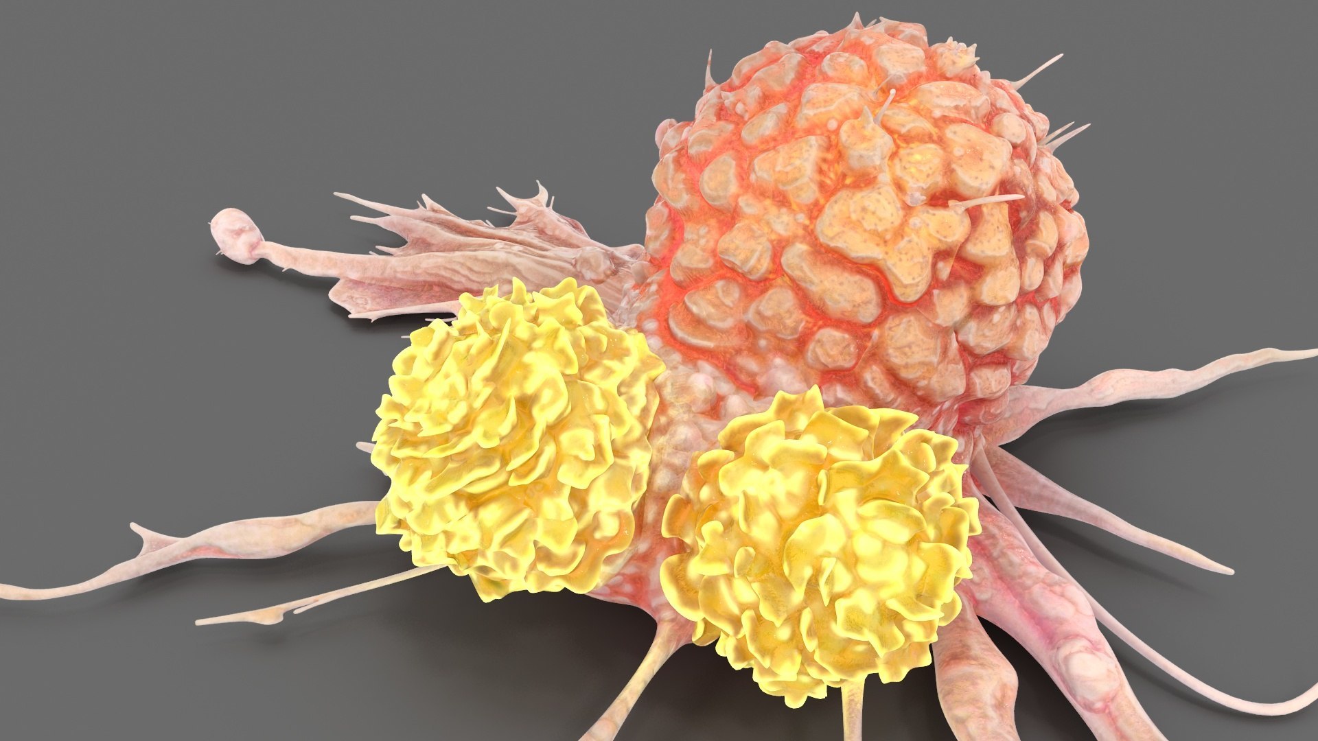 Cancer Cells With Lymphocytes Collection 3D - TurboSquid 2255044