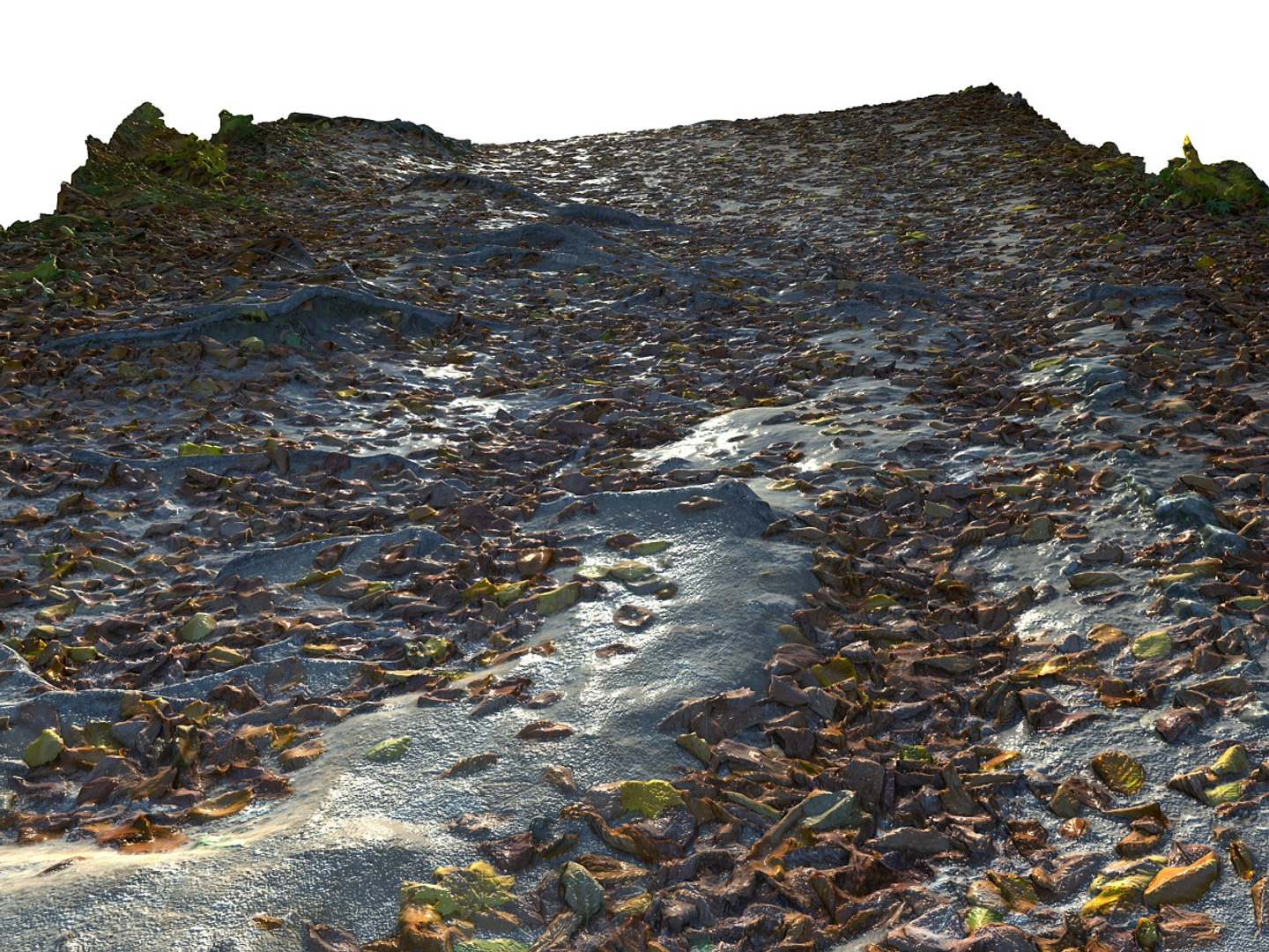 3d forest autumn 16k model