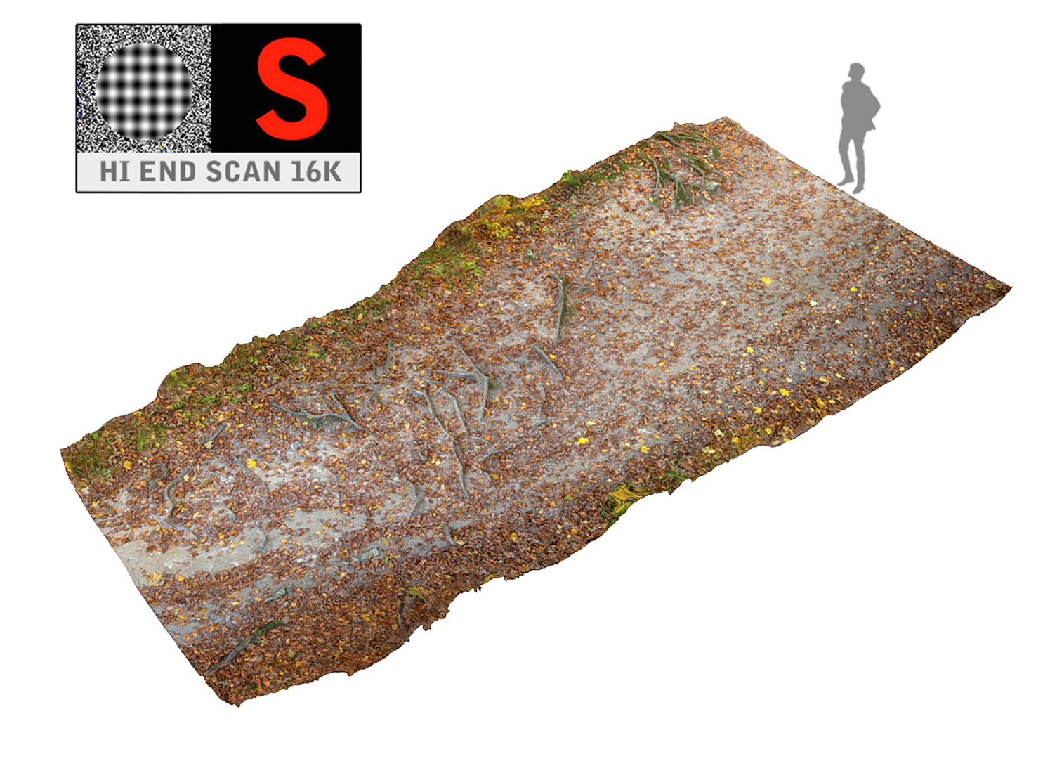 3d forest autumn 16k model