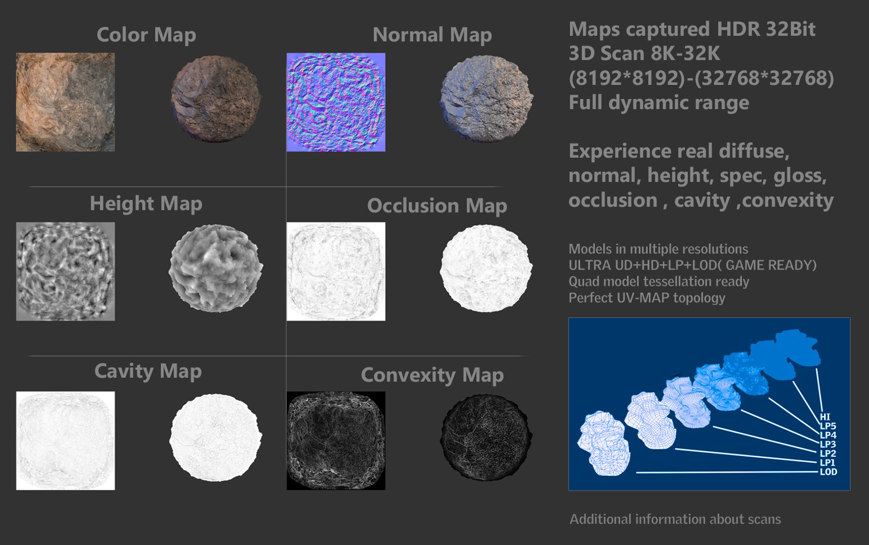 3d Forest Autumn 16k Model