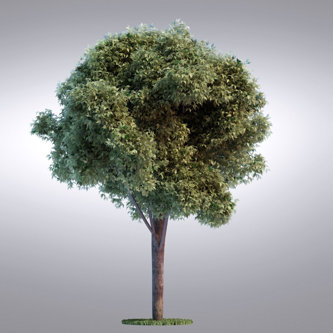 3d Model Hi Realistic Series Tree