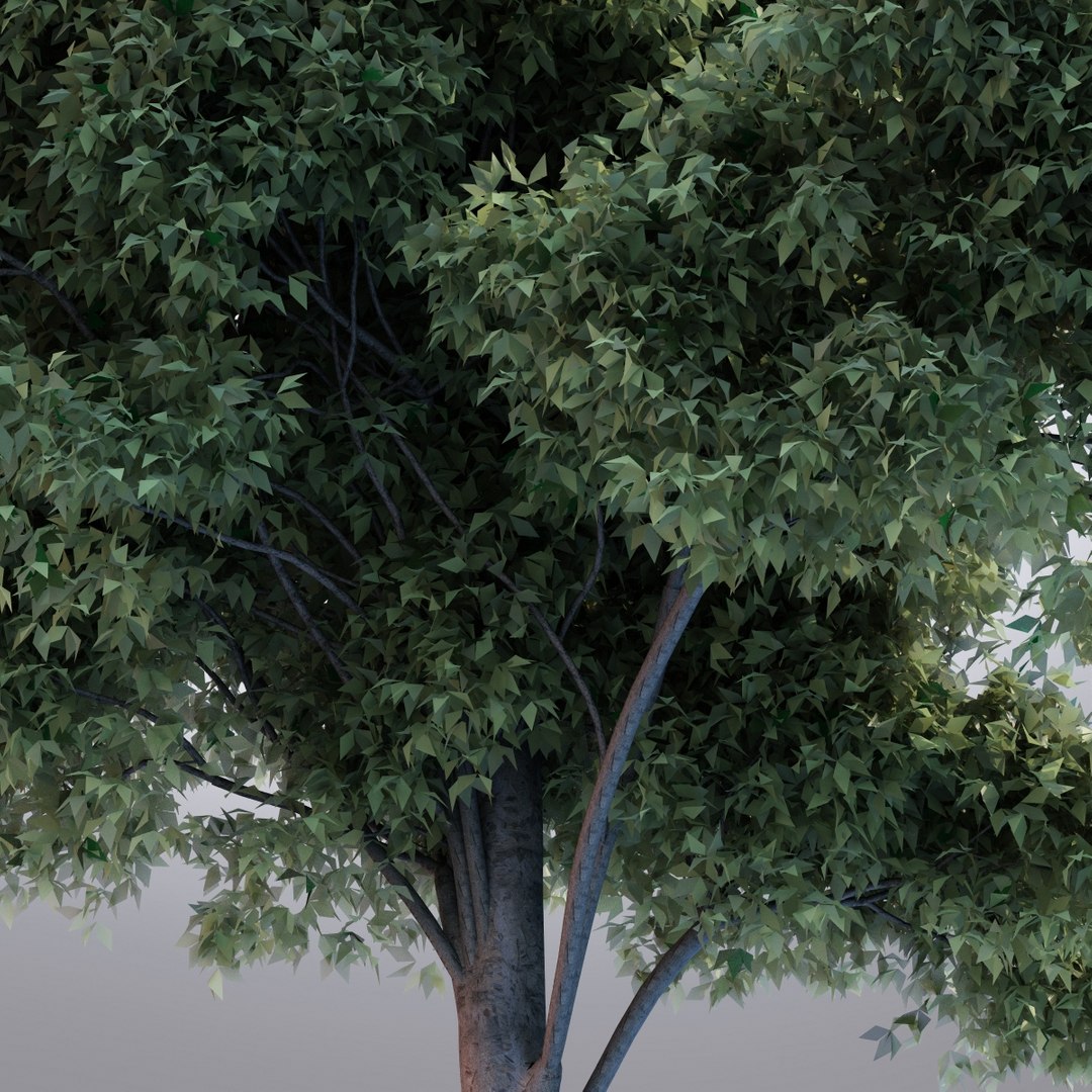 3d Model Hi Realistic Series Tree