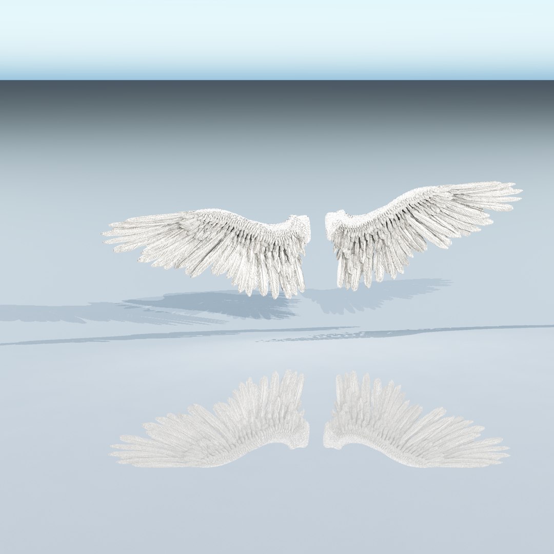 3d Fully Rigged Bird Wings