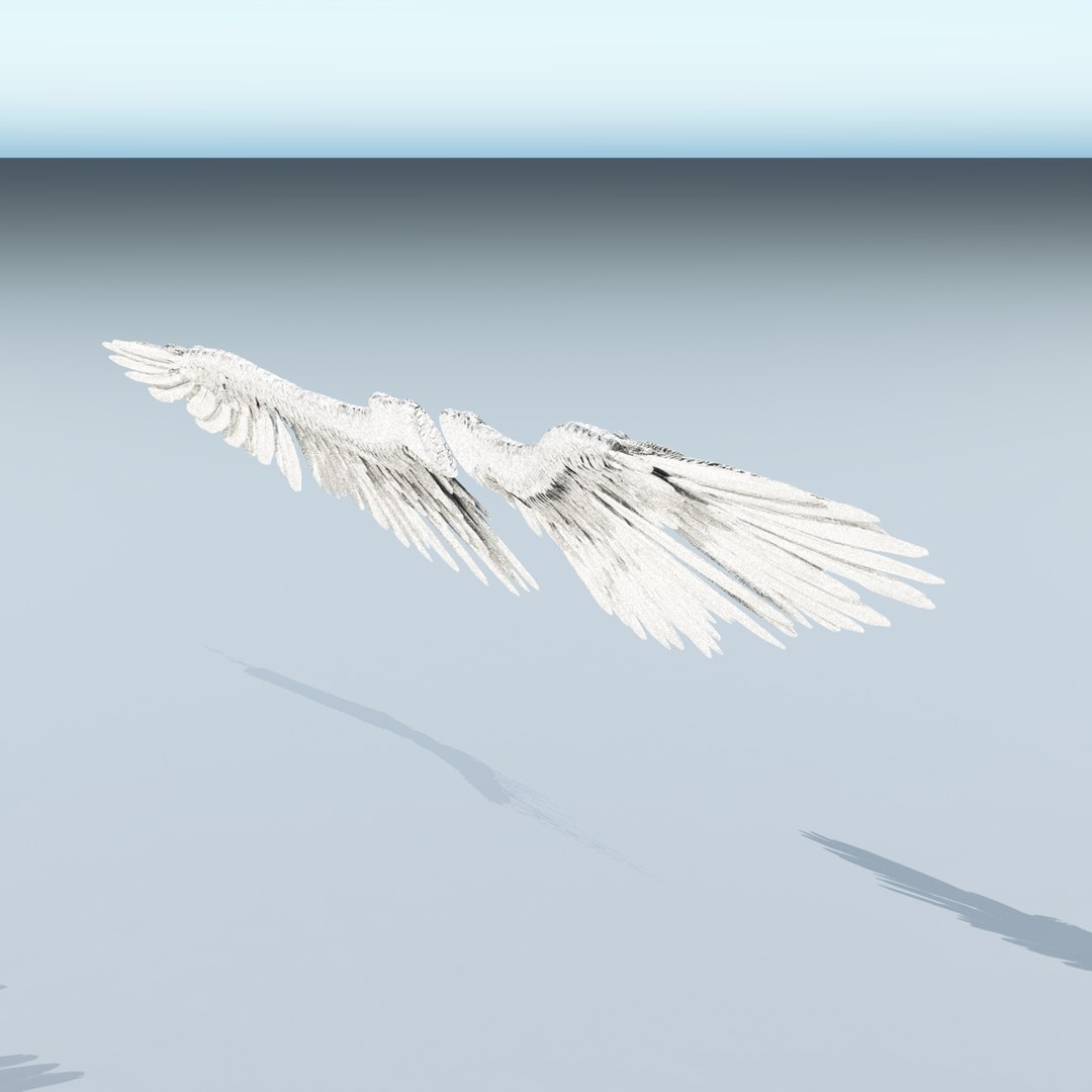 3d Fully Rigged Bird Wings