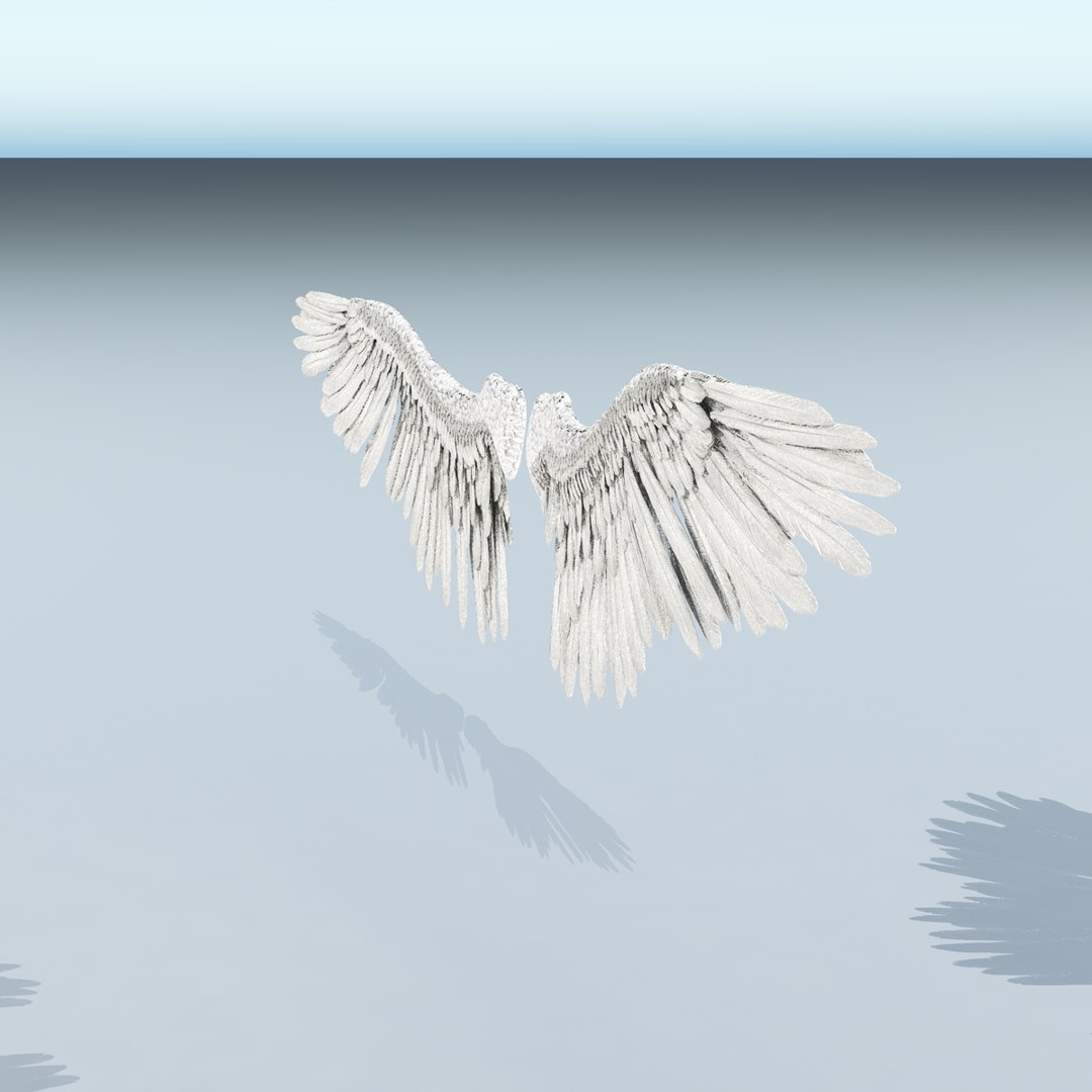 3d Fully Rigged Bird Wings