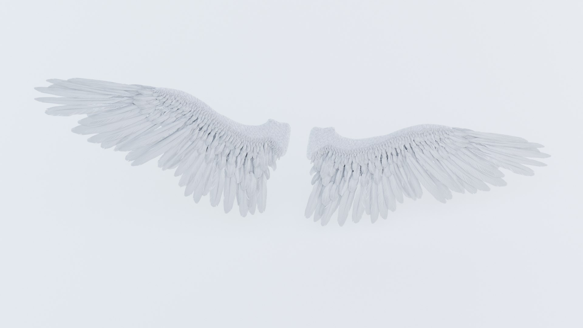 3d Fully Rigged Bird Wings
