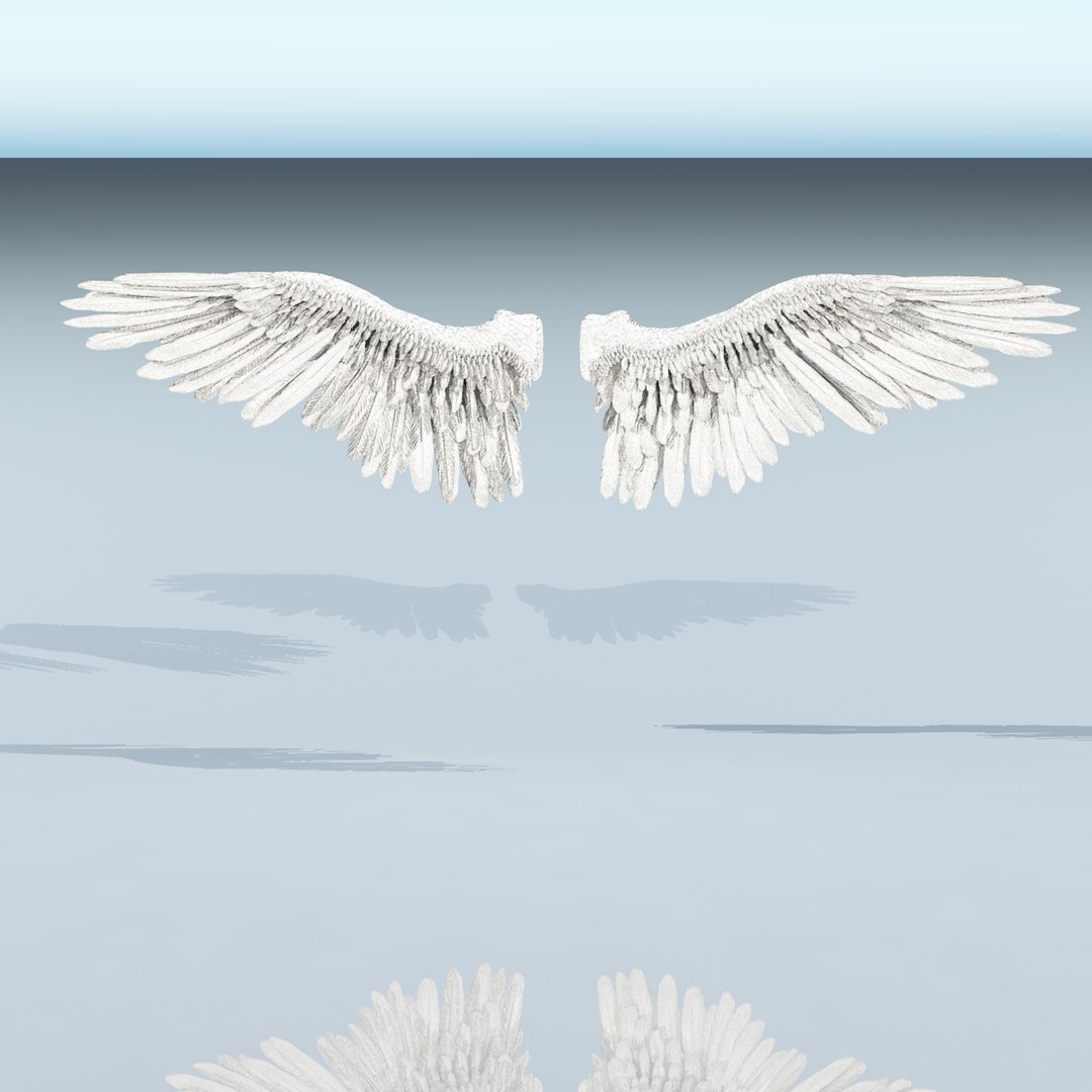 3d Fully Rigged Bird Wings