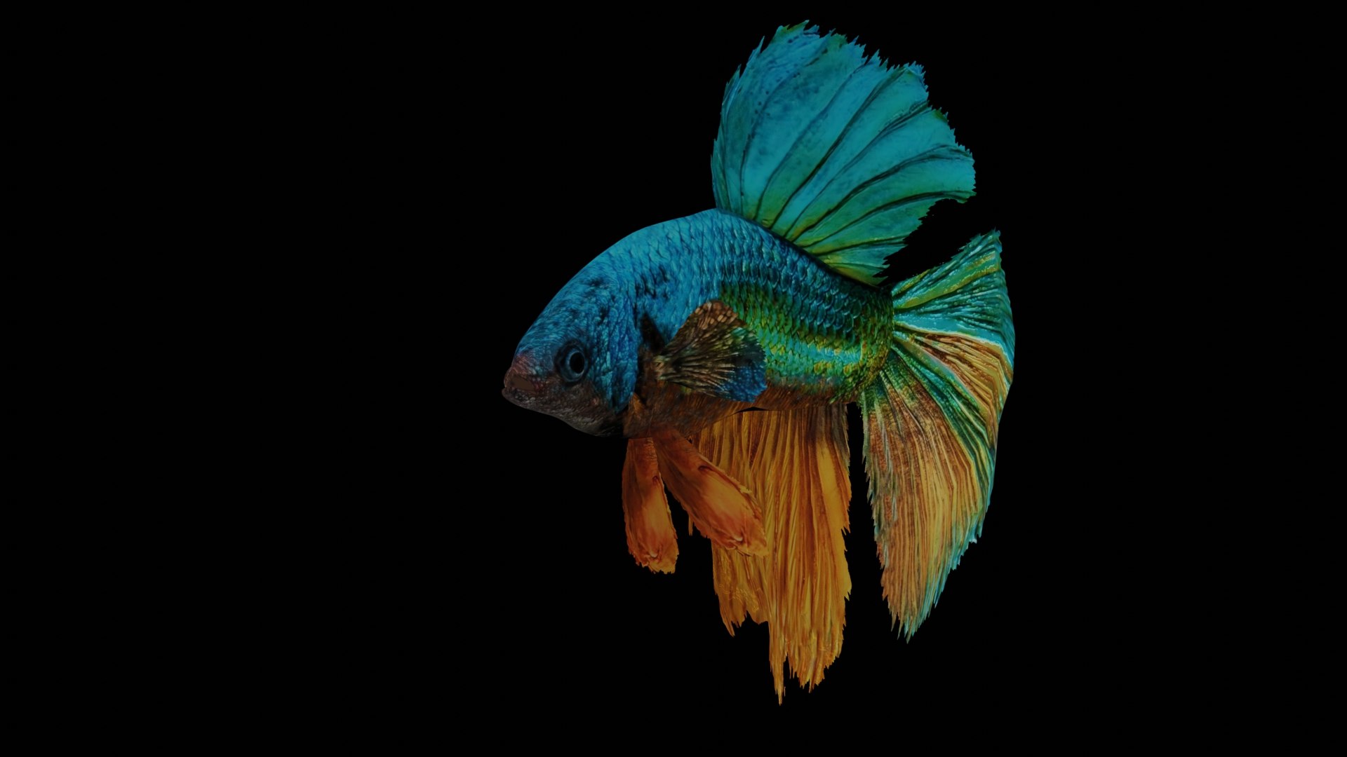 Animation Ue4 Unity 3D Model - TurboSquid 1625869