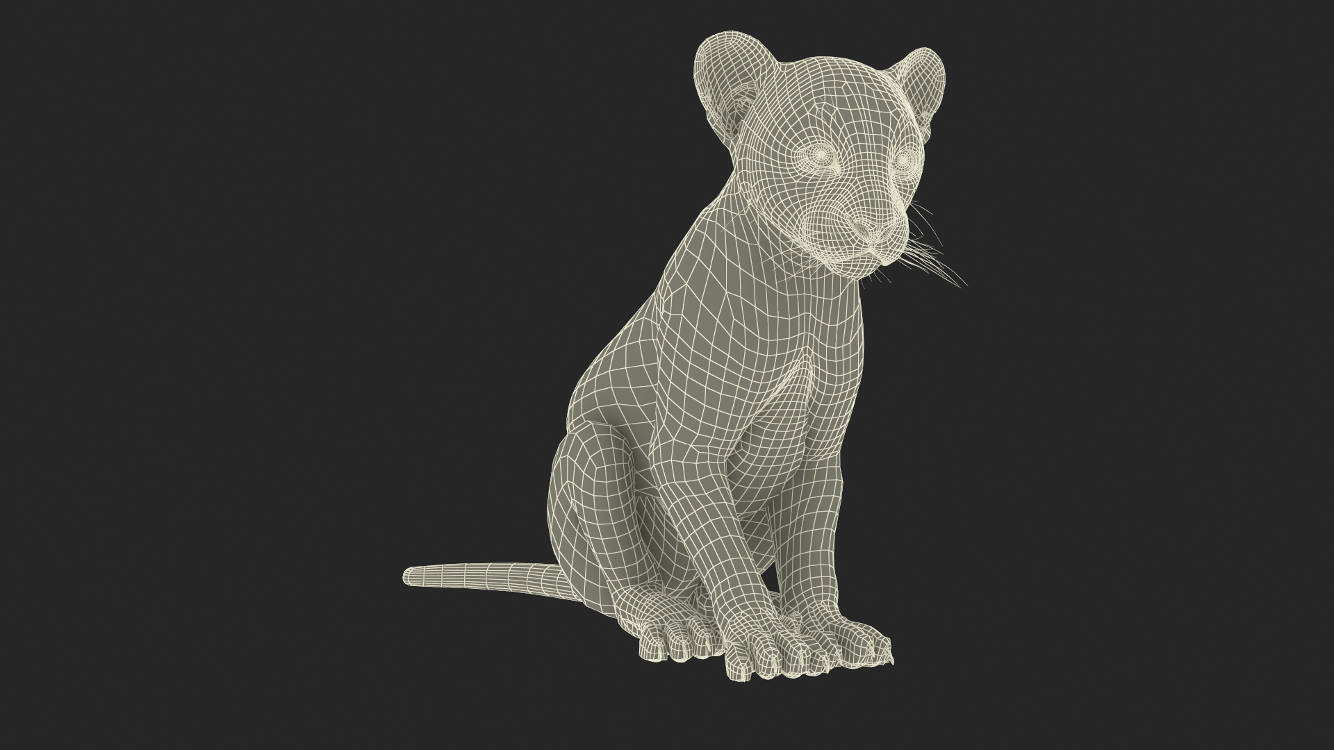 Puma Cub Sitting Pose 3D Model - TurboSquid 2342566