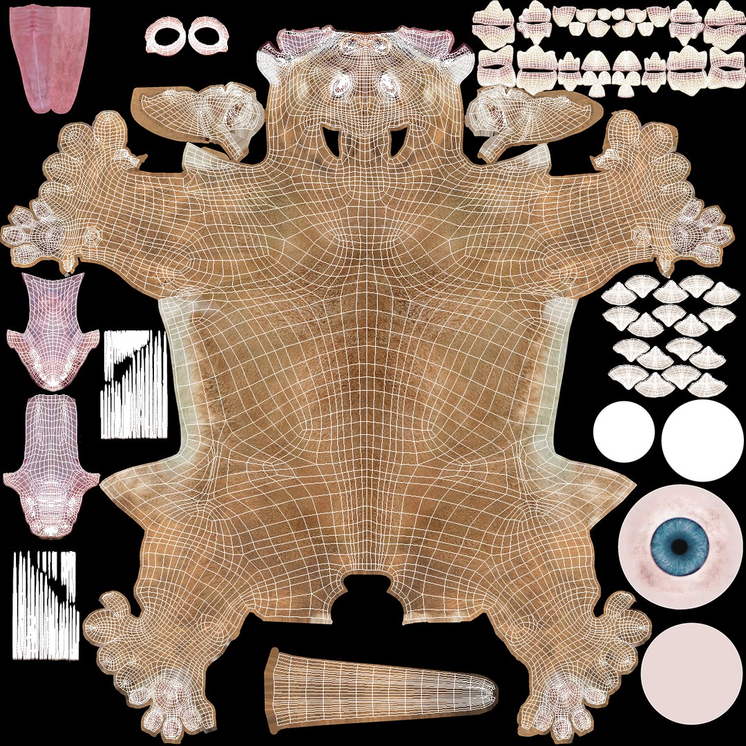 Puma Cub Sitting Pose 3D Model - TurboSquid 2342566