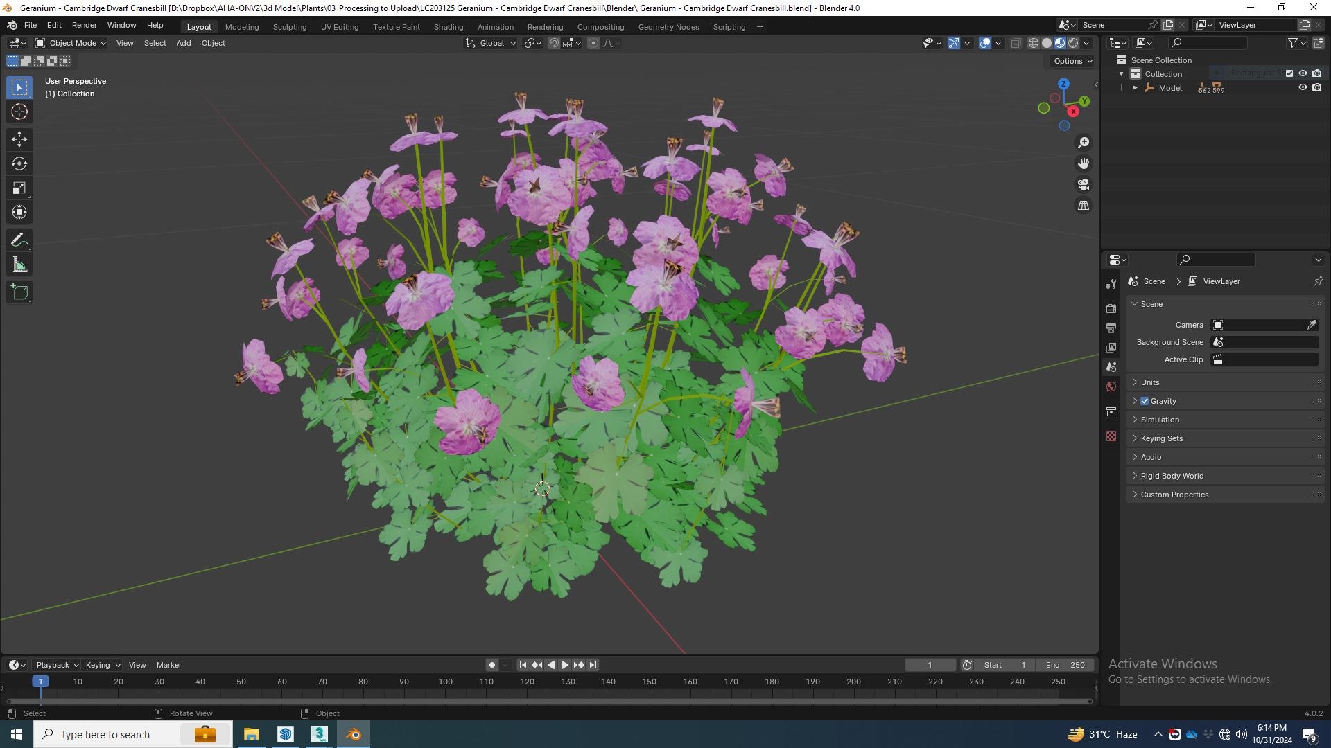 3D Geranium - Cambridge Dwarf Cranesbill Model - TurboSquid 2300618