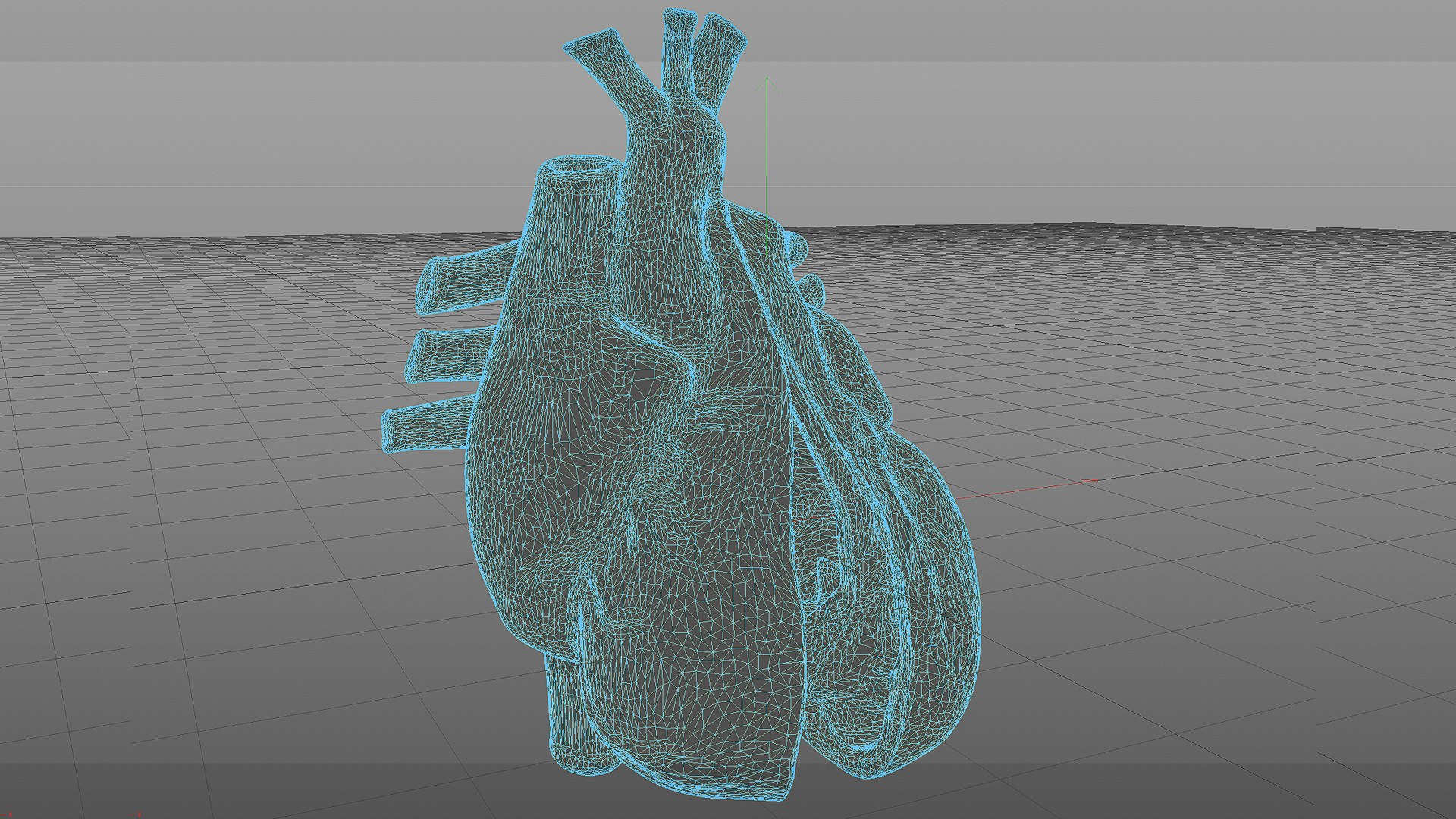 Heart Rate Animation 3D Model - TurboSquid 1775399