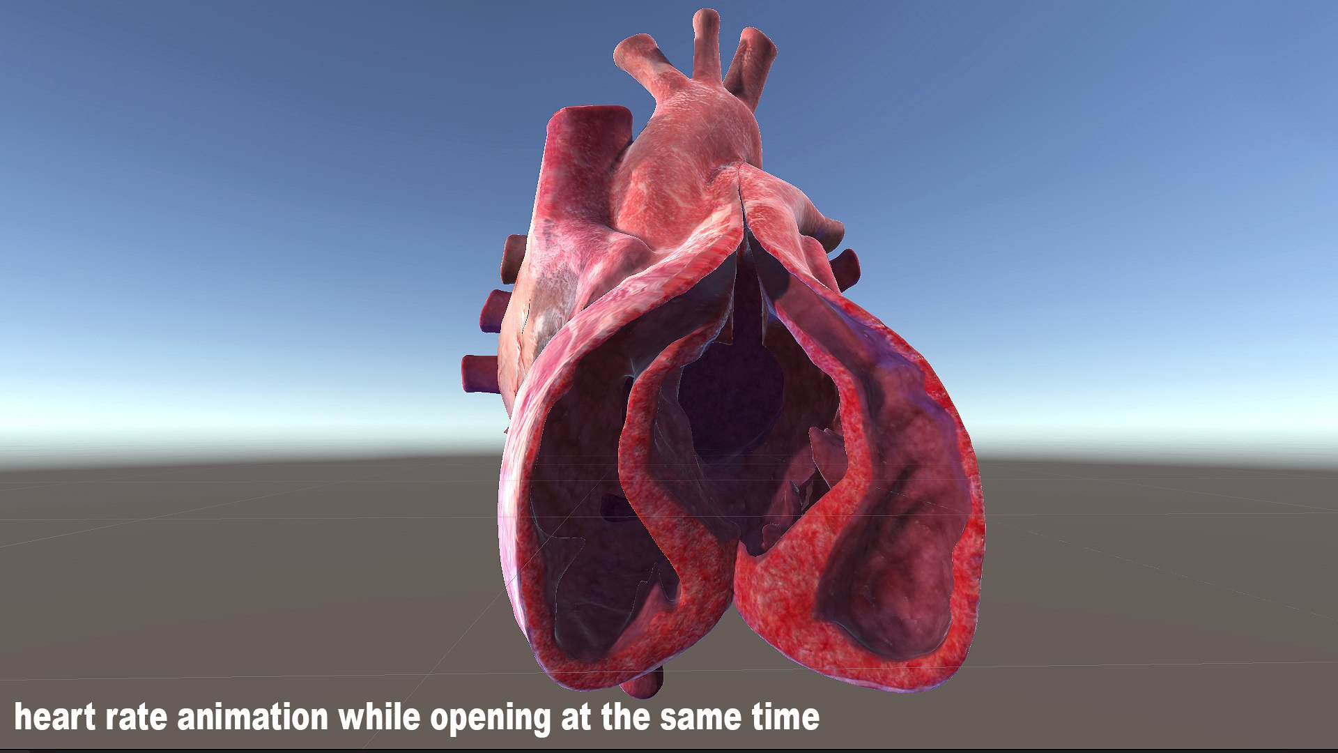 Heart Rate Animation 3D Model - TurboSquid 1775399
