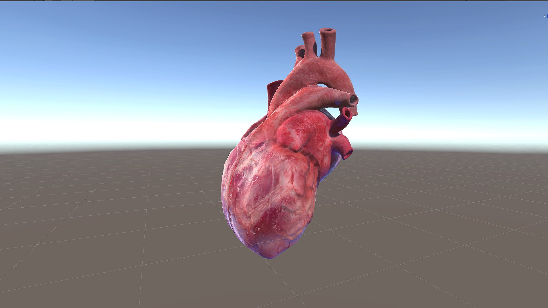 Heart Rate Animation 3D Model - TurboSquid 1775399