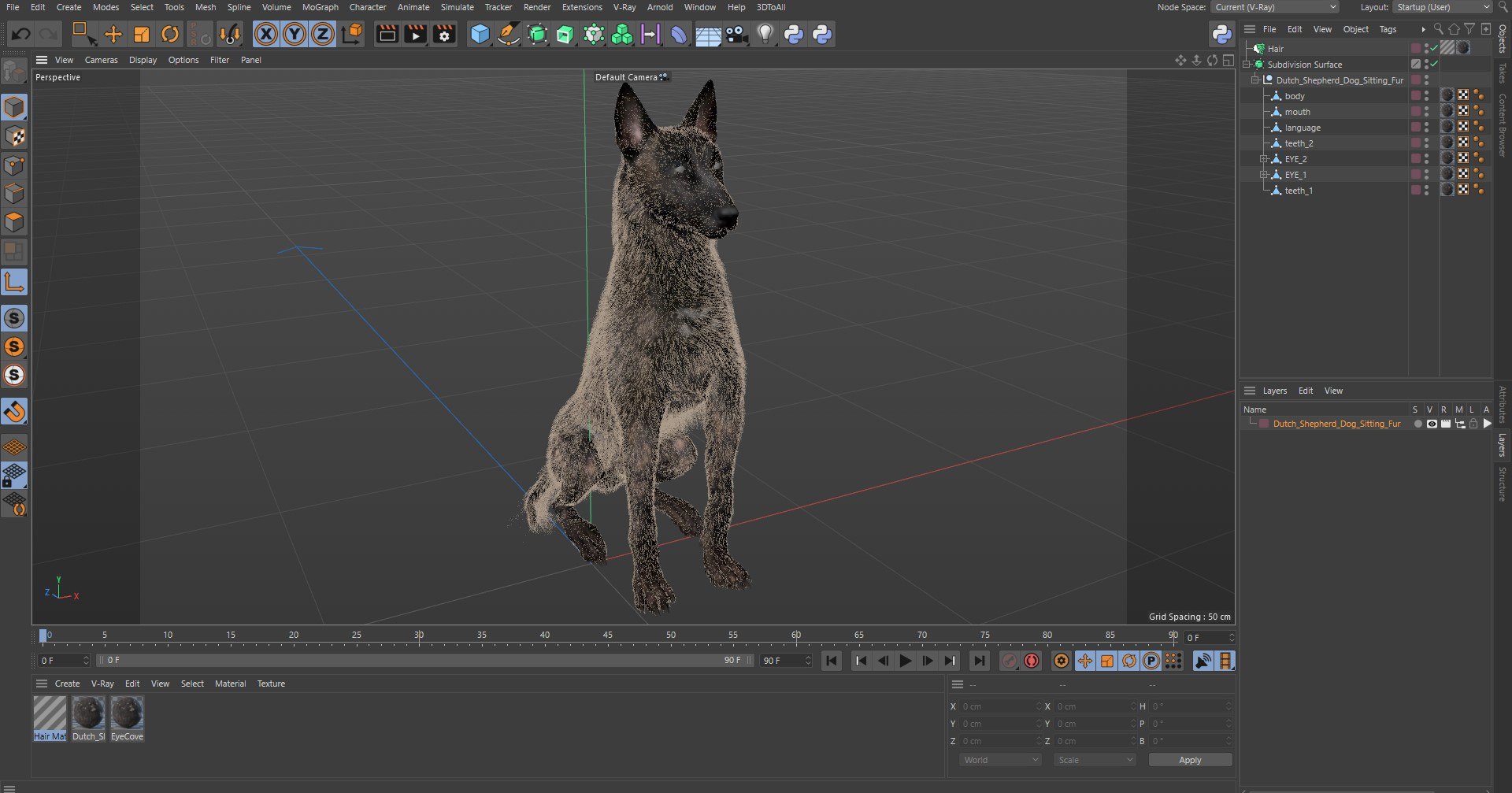 3D Dutch Shepherd Dog Sitting Fur For Cinema 4D - TurboSquid 2463476