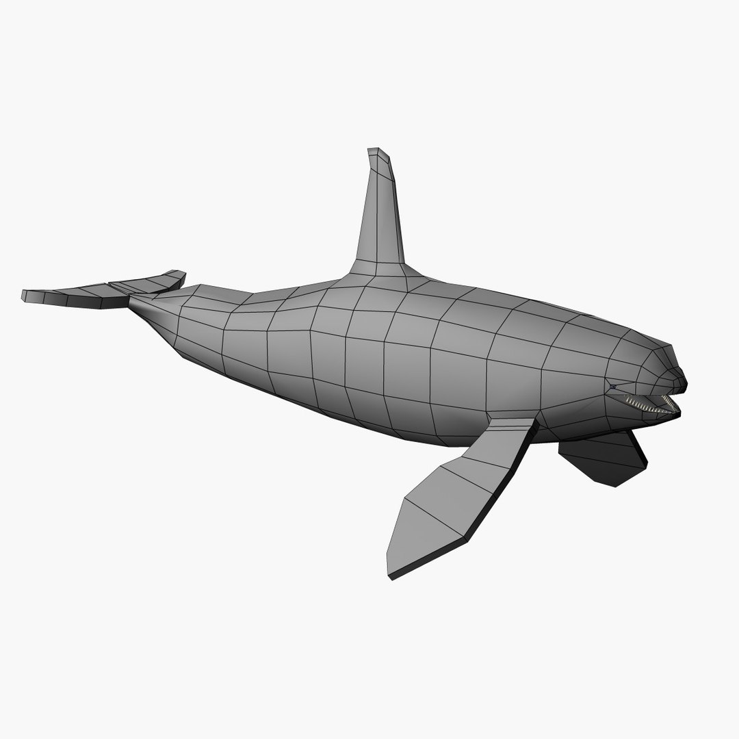 3d 3ds Orca Killer Whale
