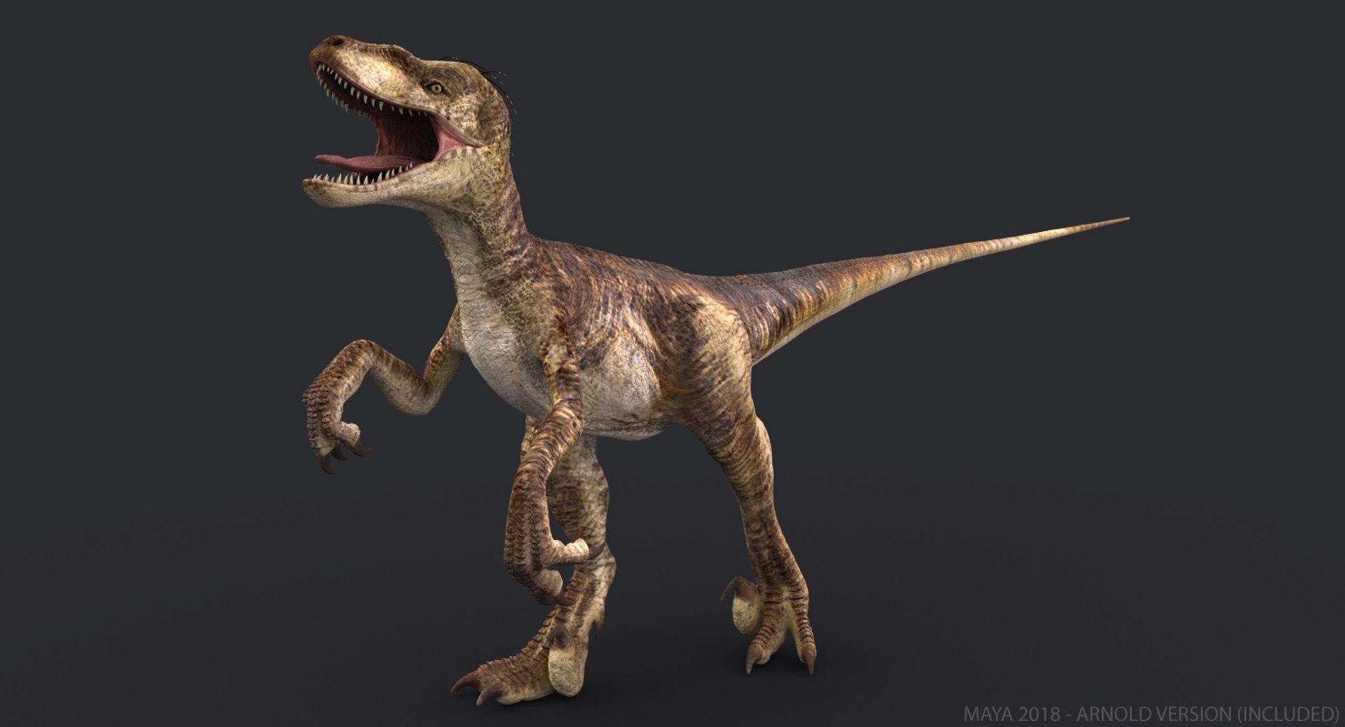 Ma Velociraptor Animation