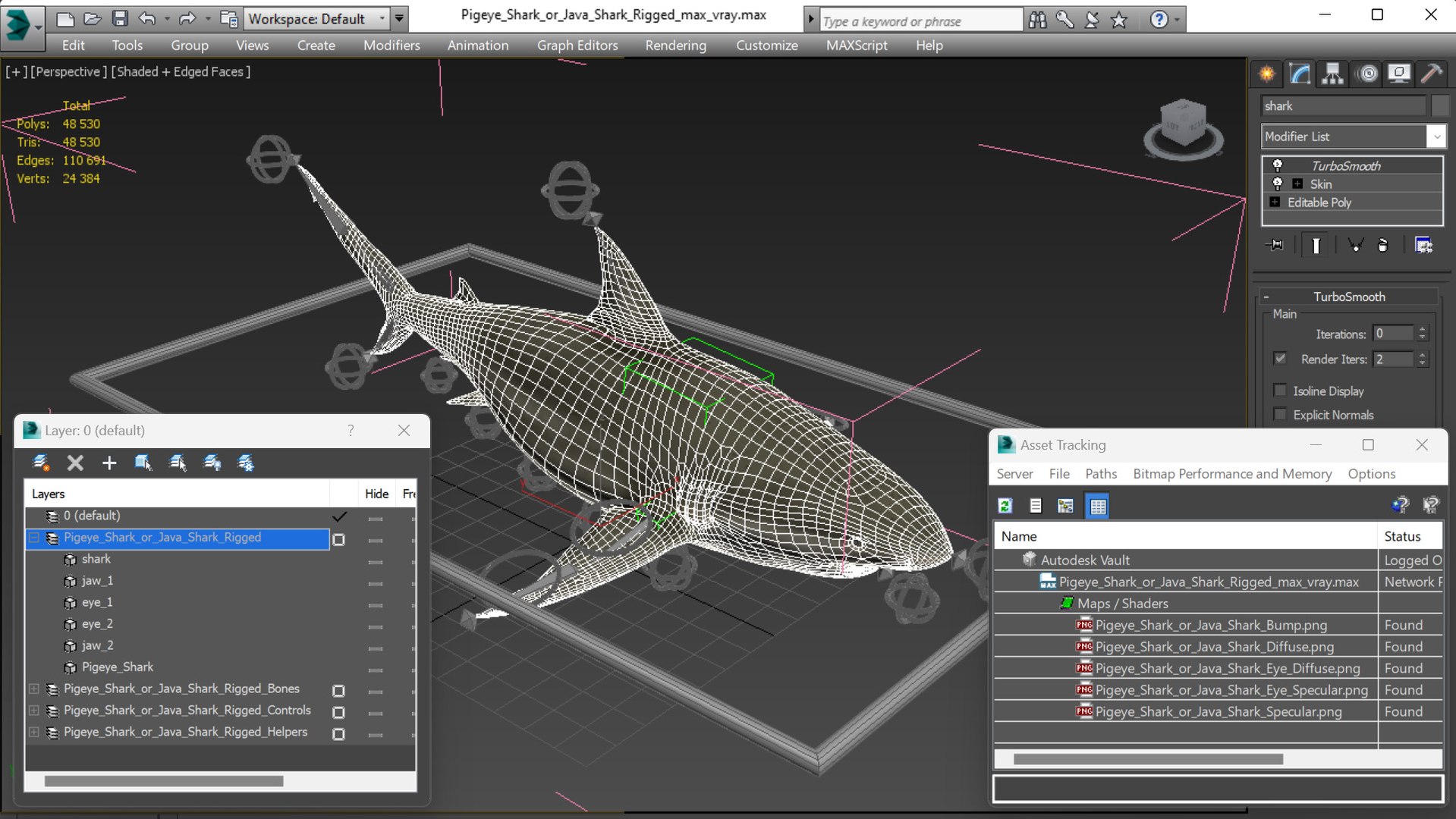 3D Model Pigeye Shark Or Java Shark Rigged - TurboSquid 2264725