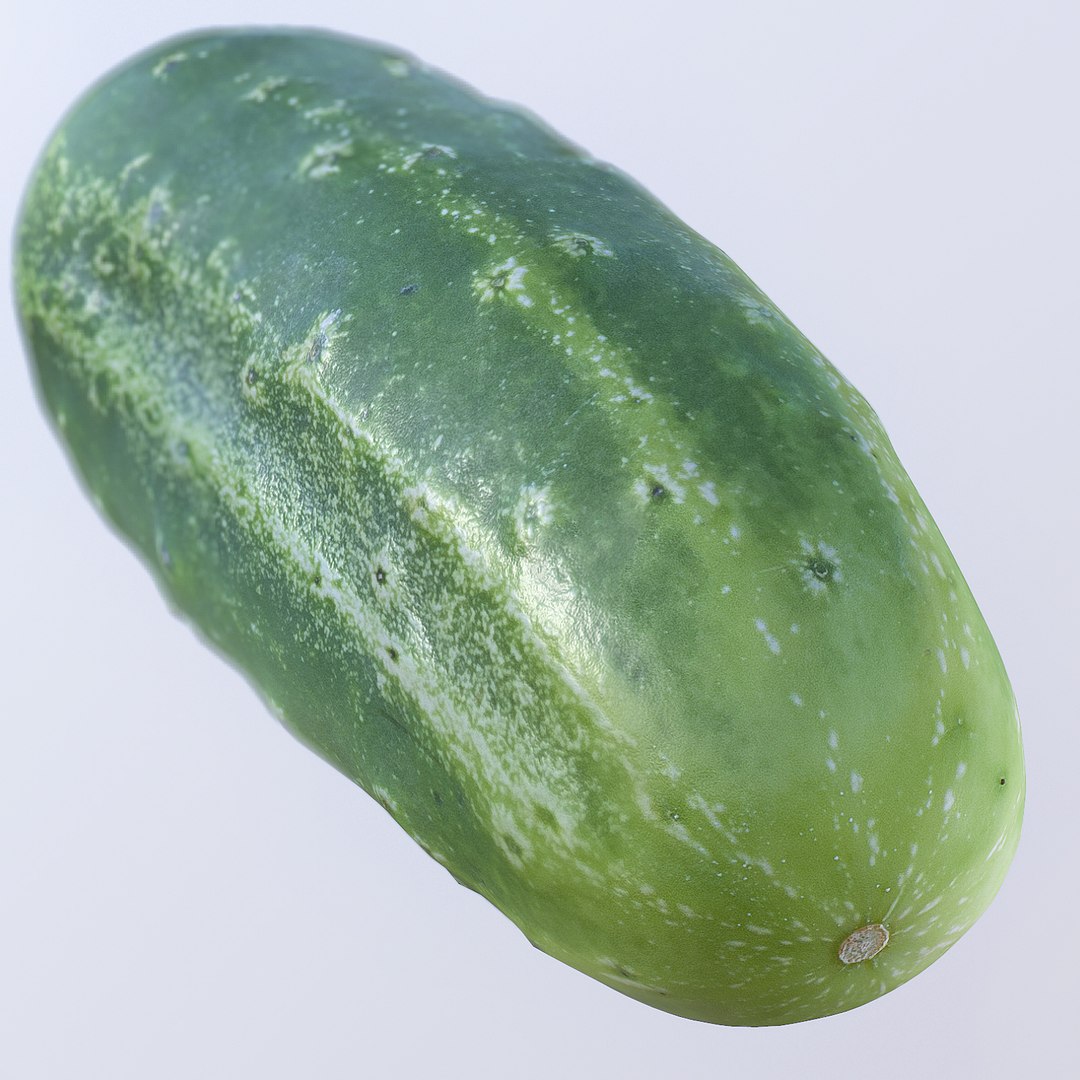 3d cucumber photorealistic scaned model