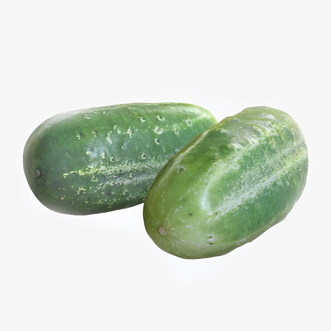 3d cucumber photorealistic scaned model