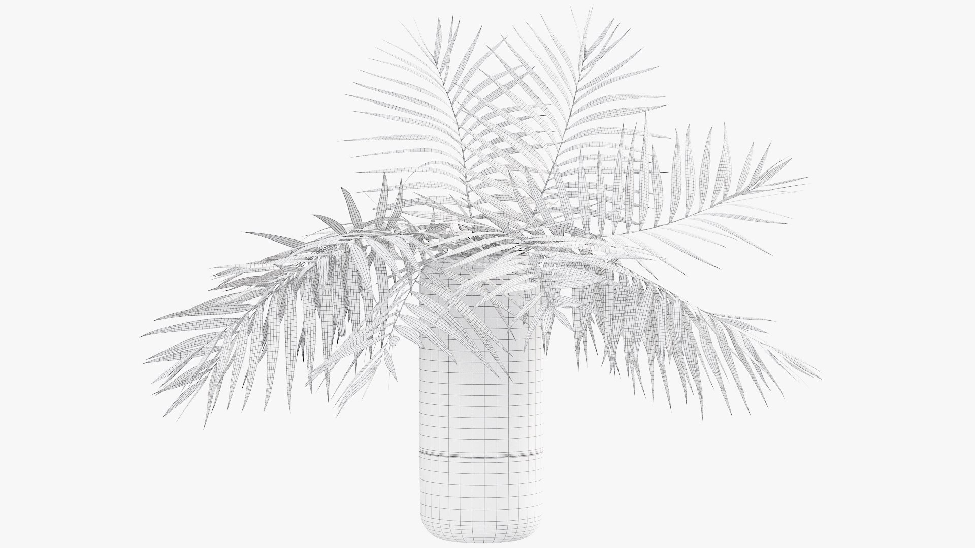 Palm Leaves 3D Model - TurboSquid 1522166