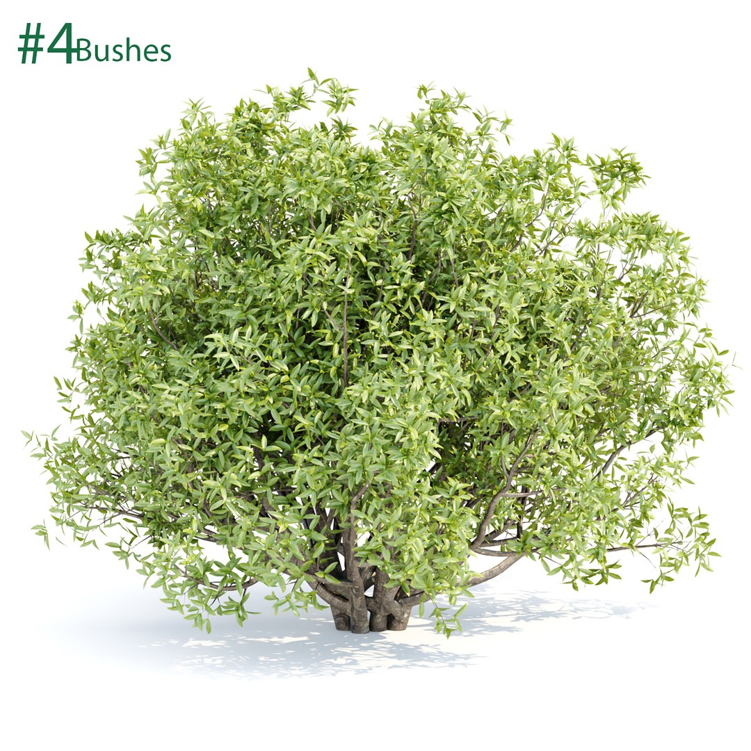 3D Bushes collection vol 191 model - TurboSquid 2035060
