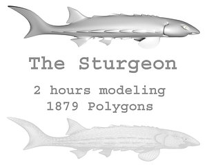 3D Sturgeon Models - Browse & Download Formats - TurboSquid