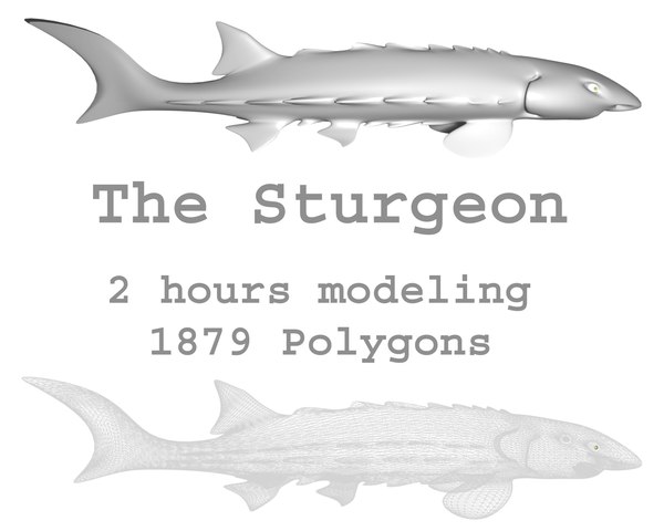 3D Sturgeon Models | TurboSquid