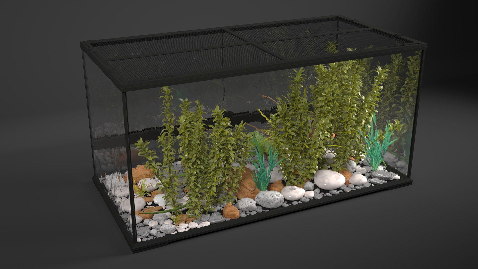 Exotic Animals Long Terrarium With Pair Of Iguanas 3D Model ...