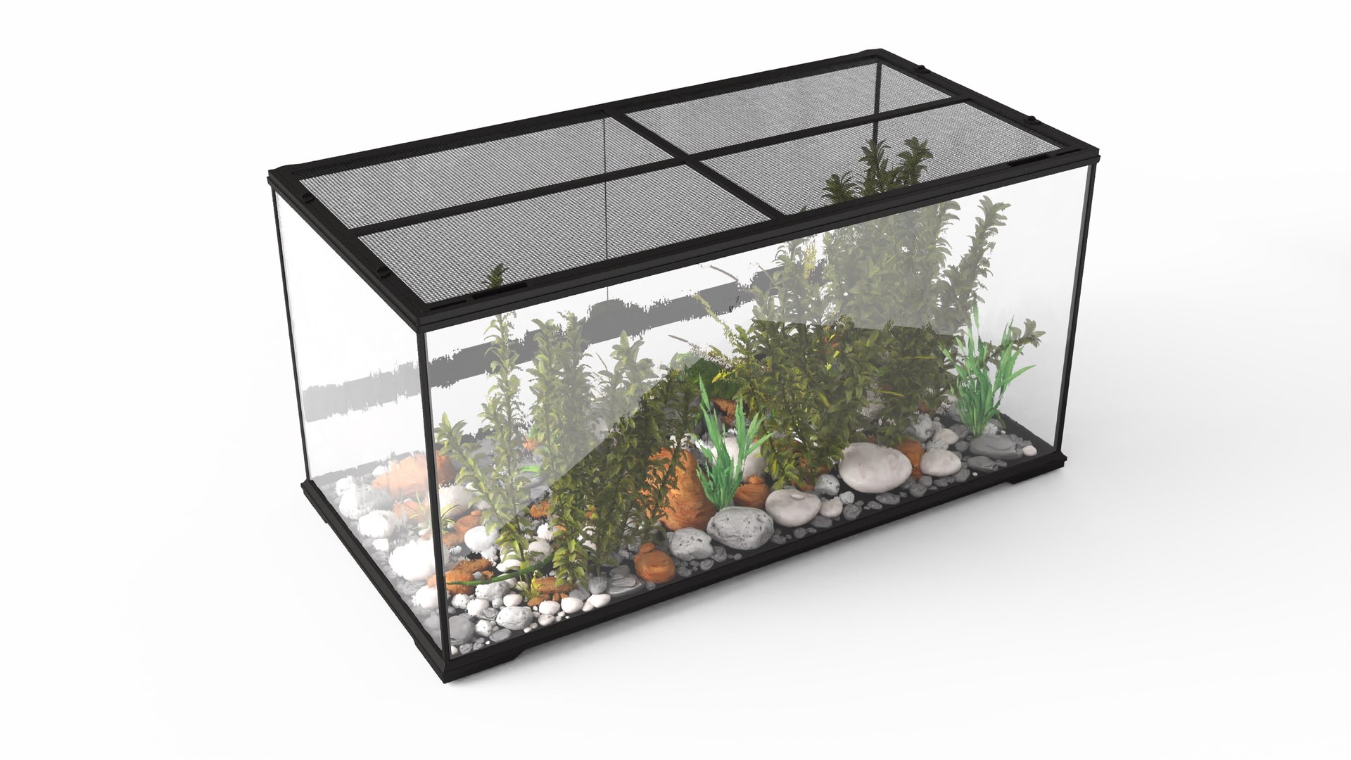 Exotic Animals Long Terrarium With Pair Of Iguanas 3D Model ...