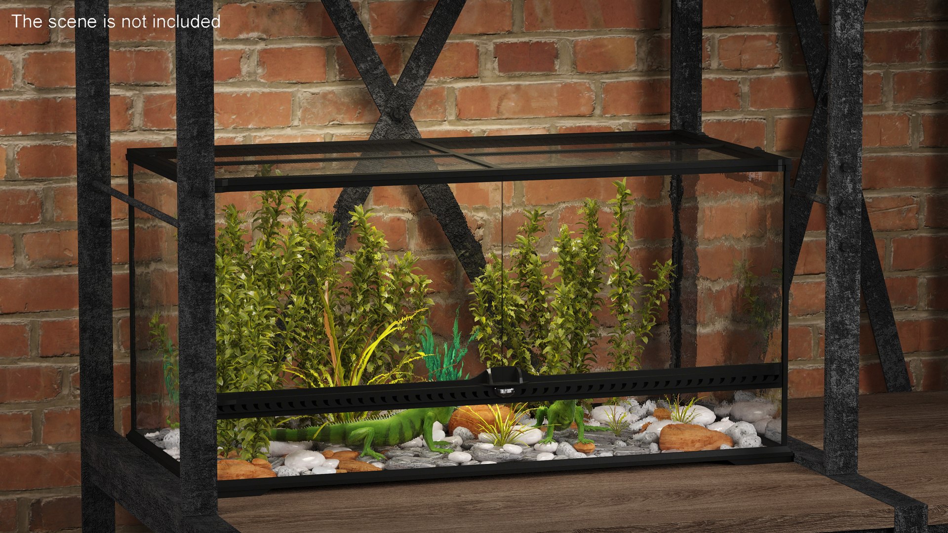Exotic Animals Long Terrarium With Pair Of Iguanas 3D Model ...