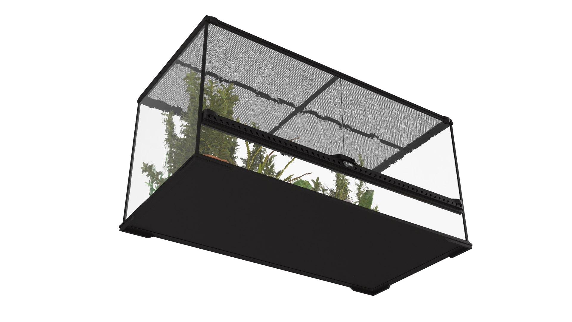 Exotic Animals Long Terrarium With Pair Of Iguanas 3D Model ...