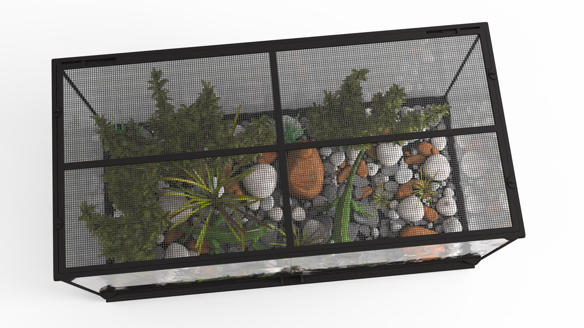 Exotic Animals Long Terrarium With Pair Of Iguanas 3D Model ...