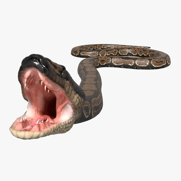 Blender Blender 5 Python Api Modelle | TurboSquid