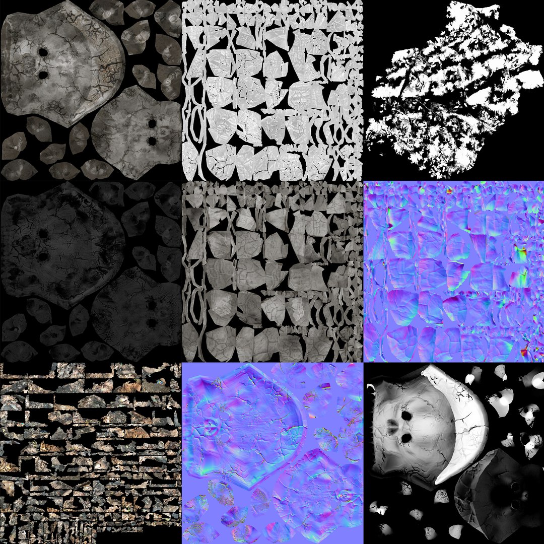 Human Skull Collection 3D - TurboSquid 2173477