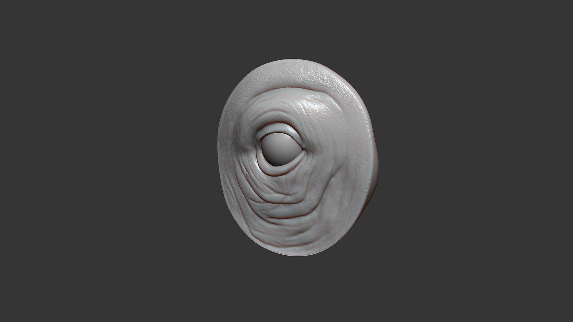 Rhino Baby Eye Socket Highpoly Sculpt 3D Model - TurboSquid 1814032
