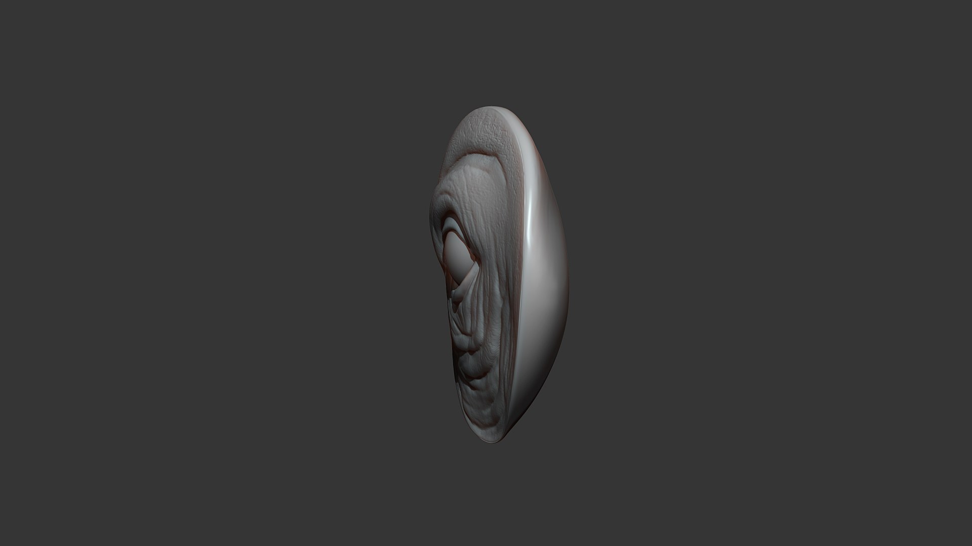 Rhino Baby Eye Socket Highpoly Sculpt 3D Model - TurboSquid 1814032