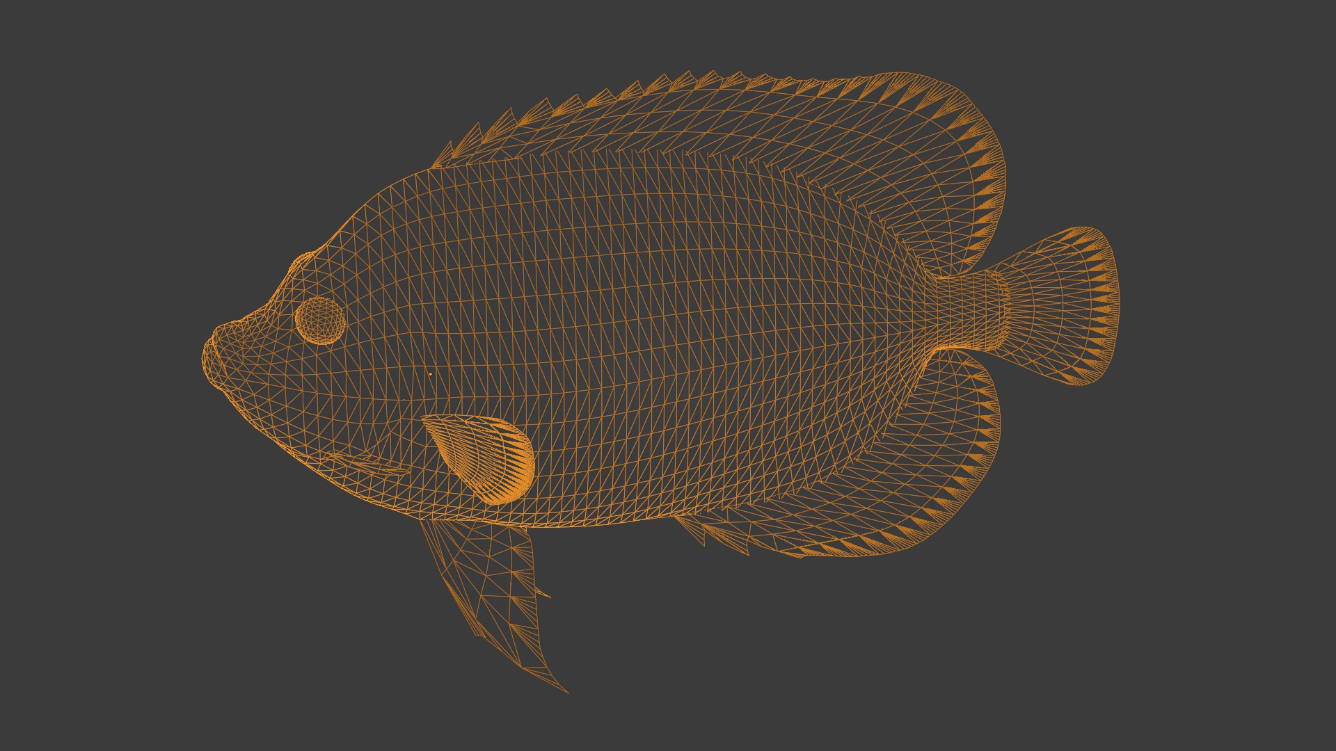 3dsmax Emperor Angelfish