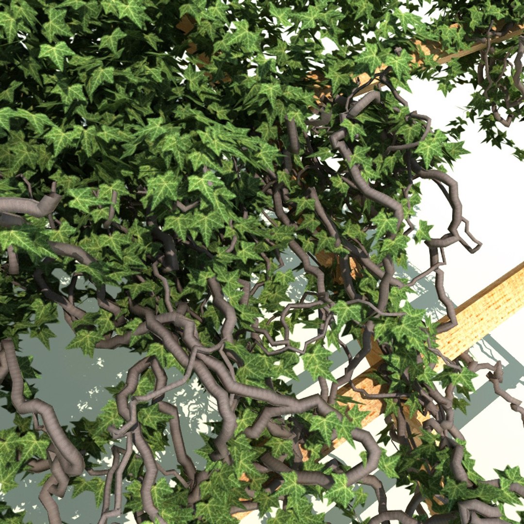 3ds pergola path ivy v3