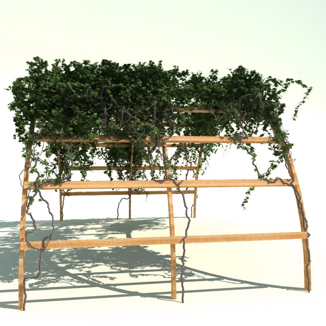3ds pergola path ivy v3