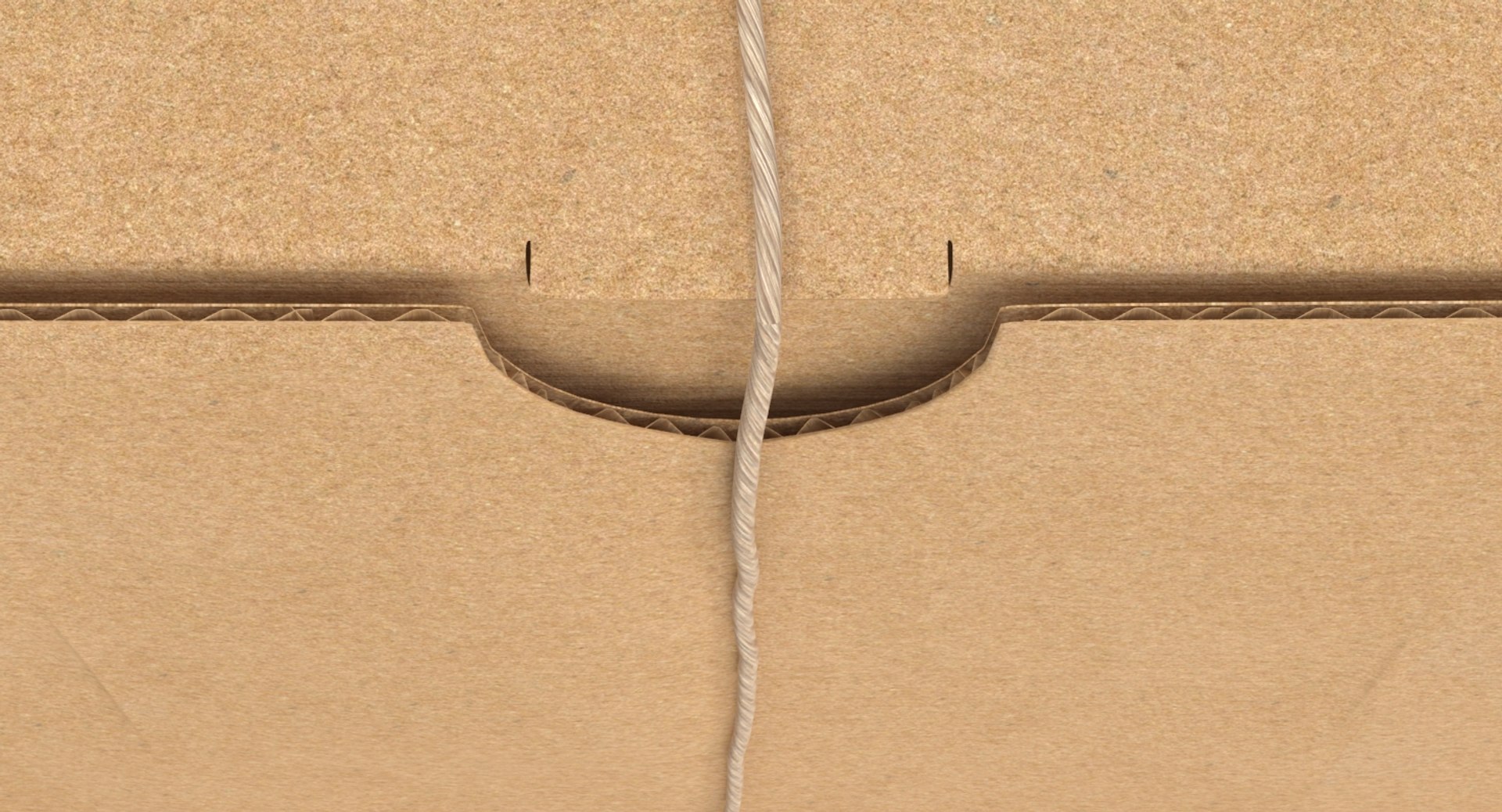 max rectangular cardboard box