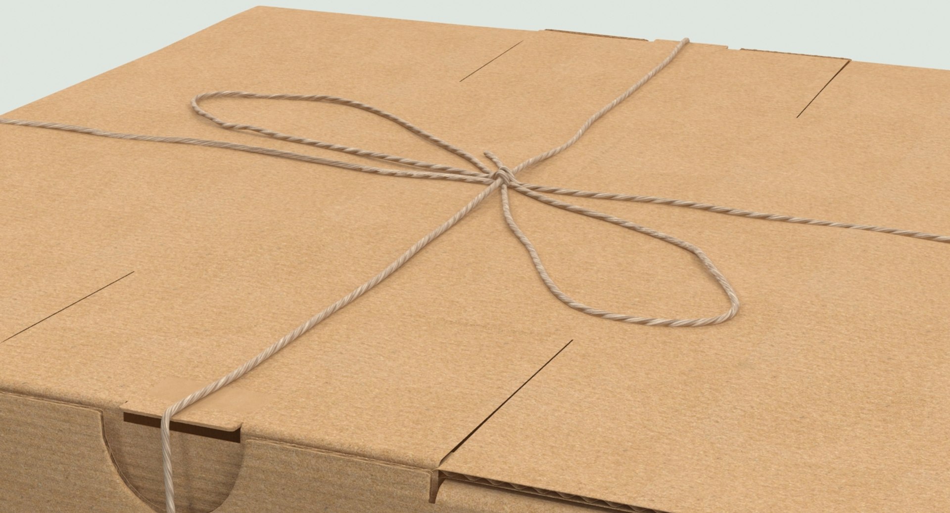 max rectangular cardboard box