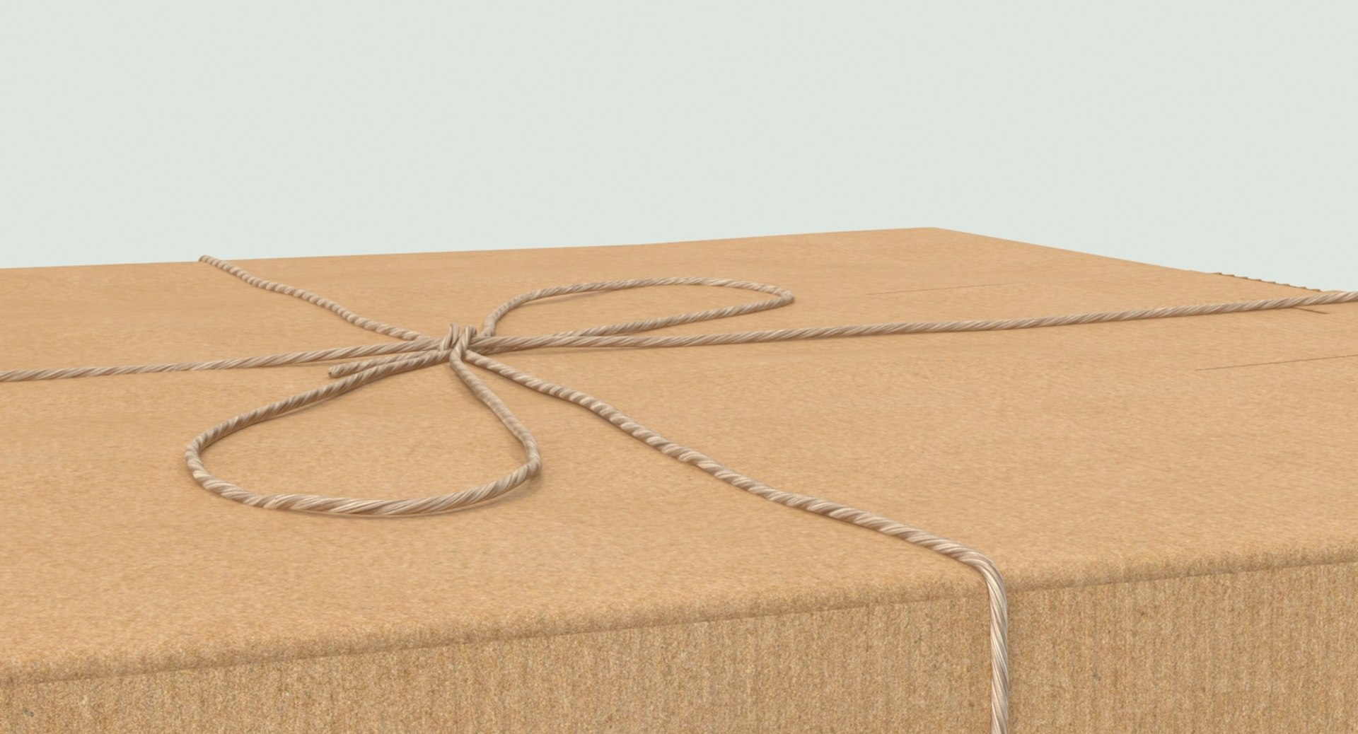 max rectangular cardboard box