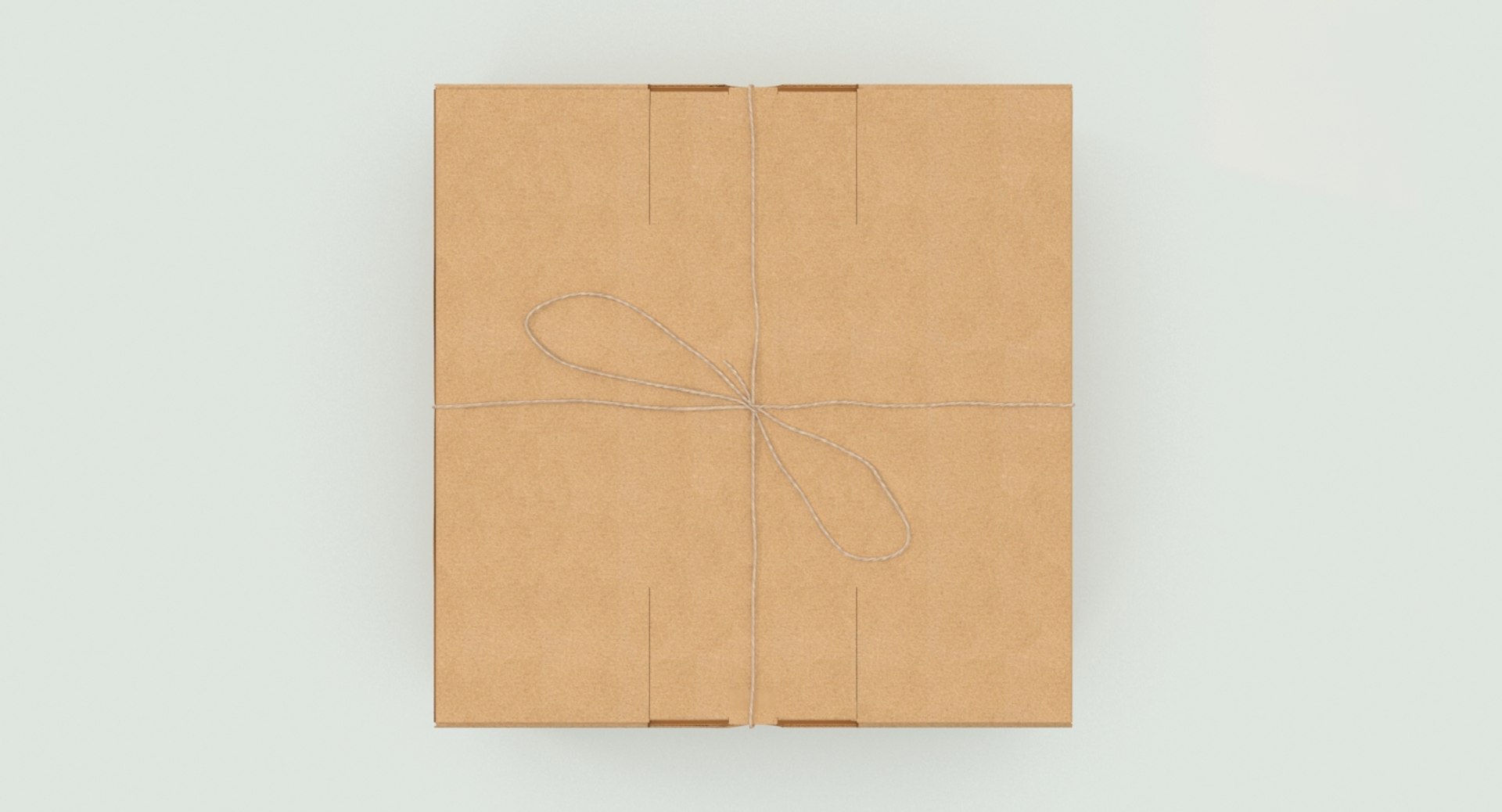 max rectangular cardboard box