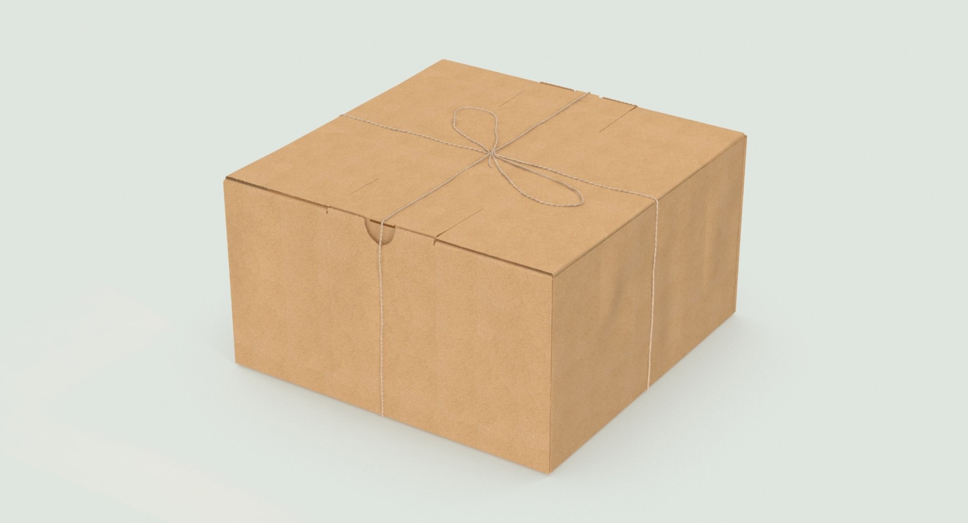 max rectangular cardboard box