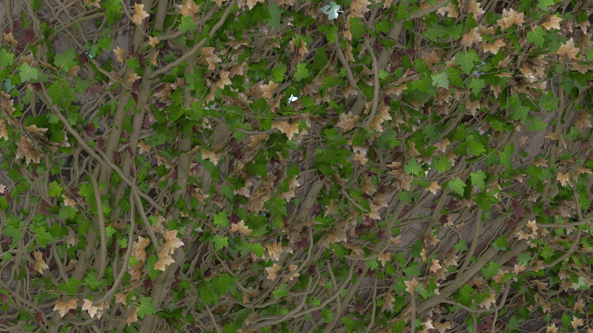 4K Realistic Giant Rock Ivy 3D model - TurboSquid 2088026