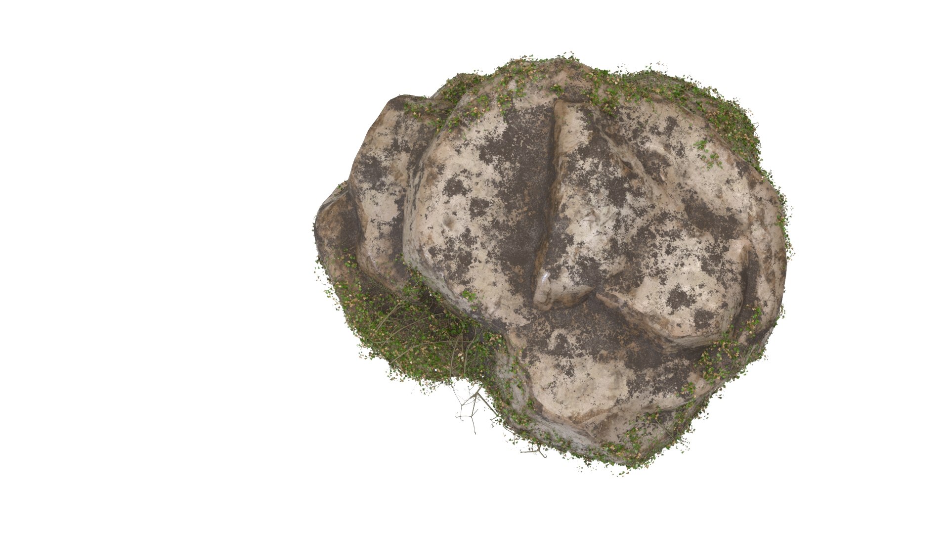 4K Realistic Giant Rock Ivy 3D model - TurboSquid 2088026